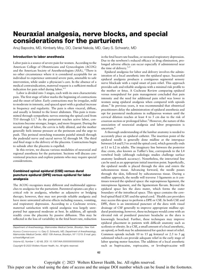 Neuraxial Analgesia, Nerve Blocks, and Special Considerations For | PDF ...