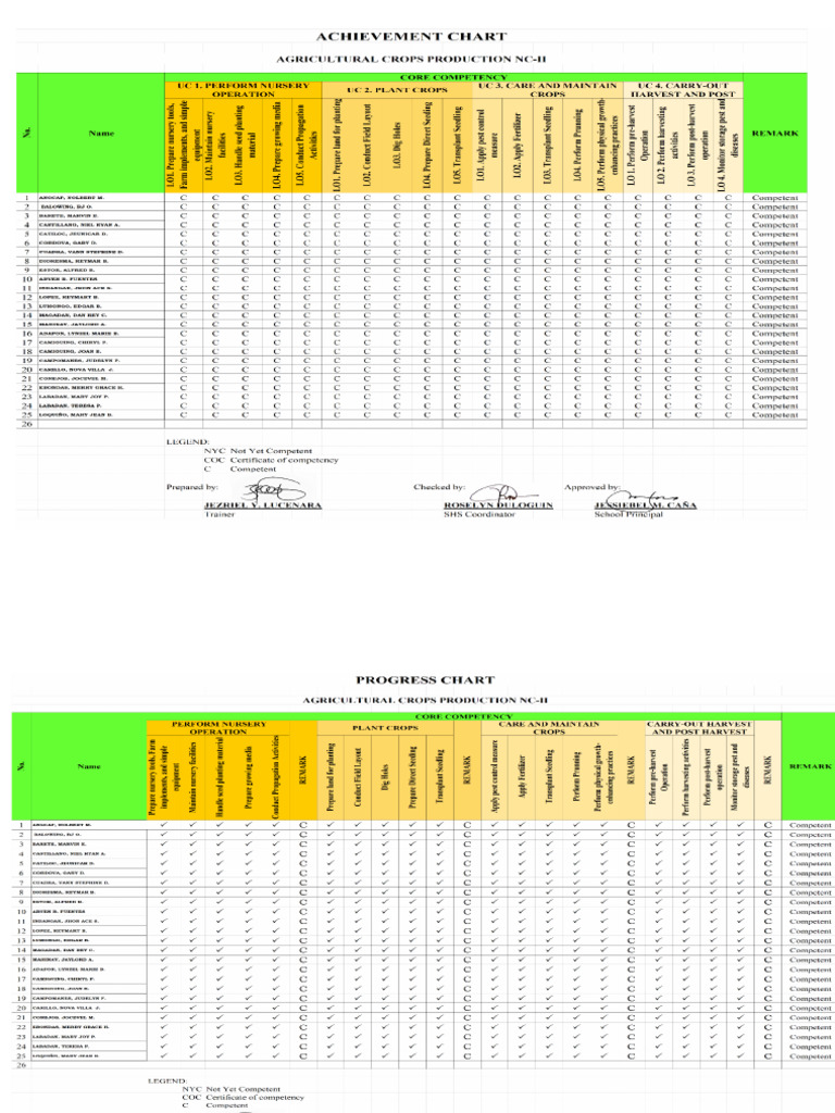 Progress Chart & Achievement chART | PDF