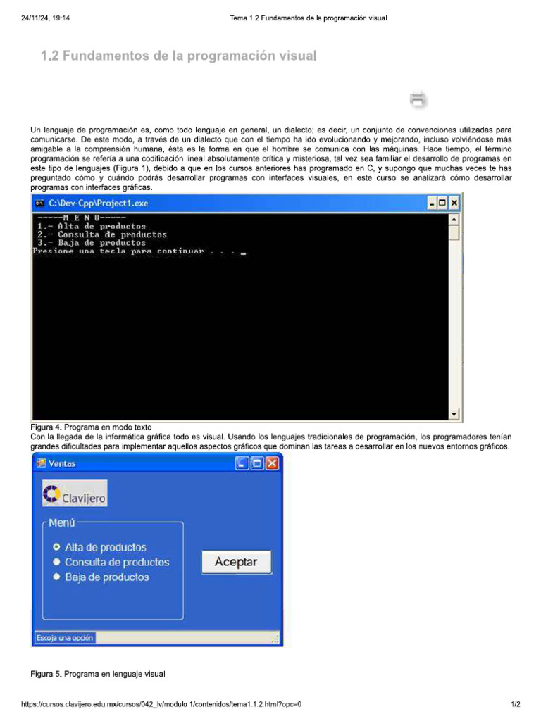 1.2 Fundamentos de La Programación Visual | PDF