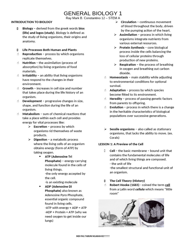 Gen Bio Notes Q1 | PDF | Endoplasmic Reticulum | Cell (Biology)