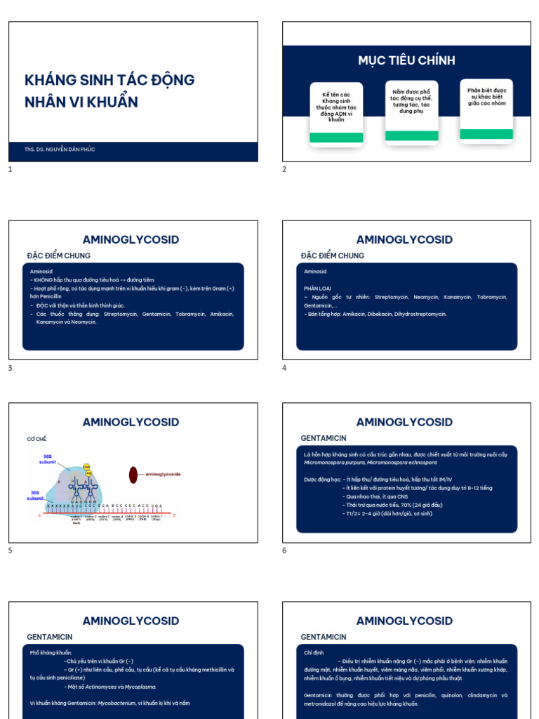 Khang Sinh Tác Đ NG Nhân | PDF