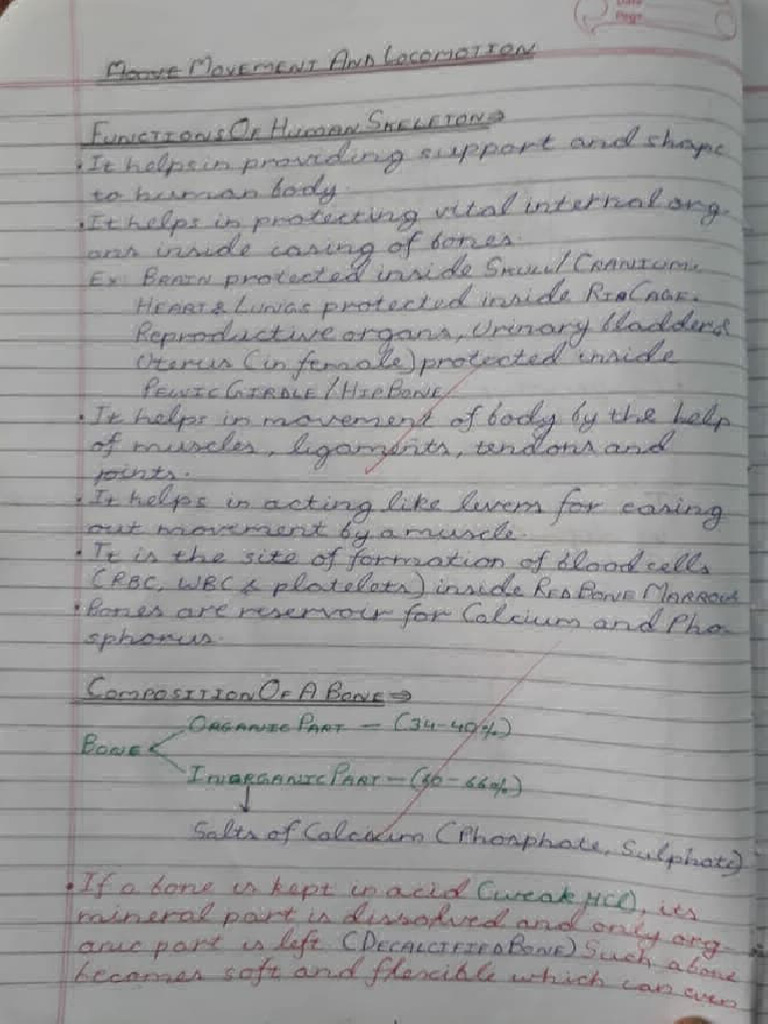 Movement & Locomotion | PDF | Skeletal System | Musculoskeletal System