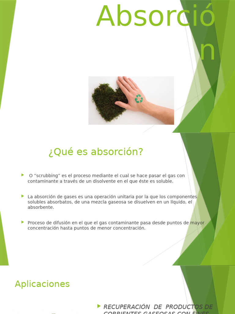 Proceso y Equipos de Absorción de Gases | PDF | Absorción (Química ...