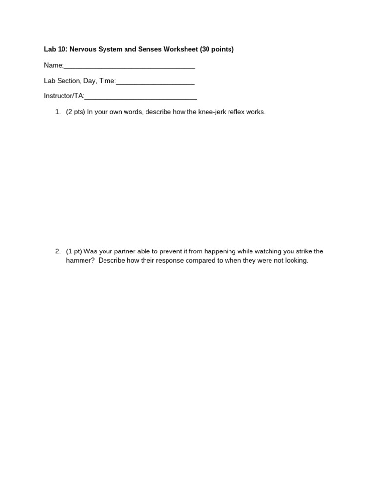 Nervous System Lab Worksheet Guide | PDF | Mental Processes | Cognition