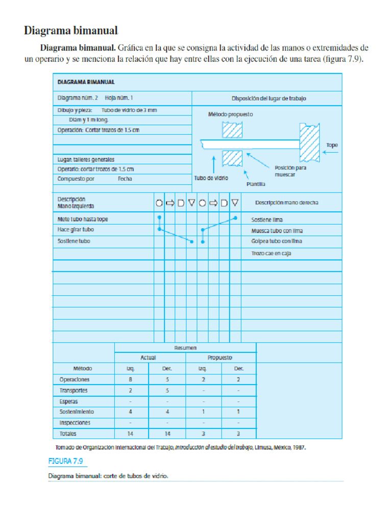 Diagrama Bimanual | PDF
