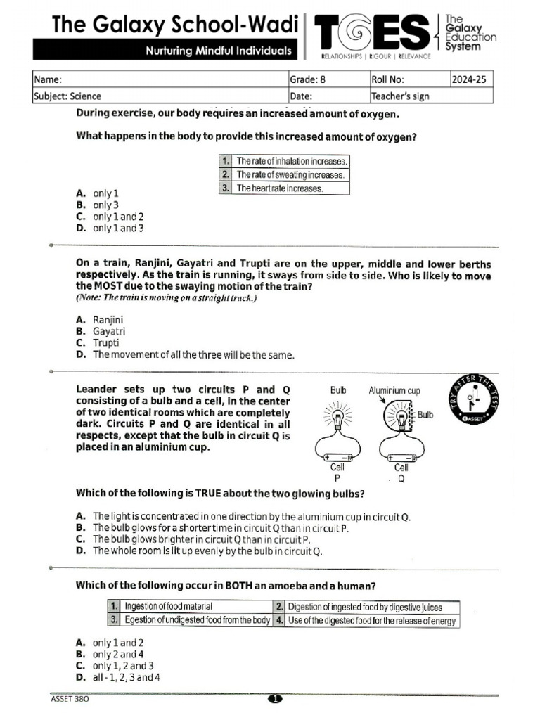 Asset Worksheet | PDF
