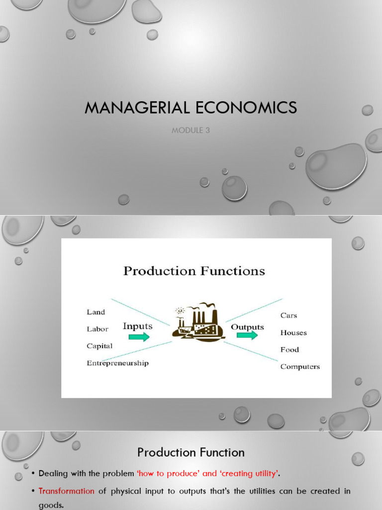 S3 Production Function Module 3 | PDF | Production Function | Production And Manufacturing