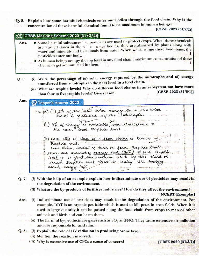 Important Questions Ch. Our Environment | PDF