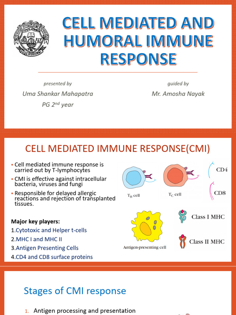 Humoral and Cell Mediated Immune Response-Final-1 | PDF | B Cell ...