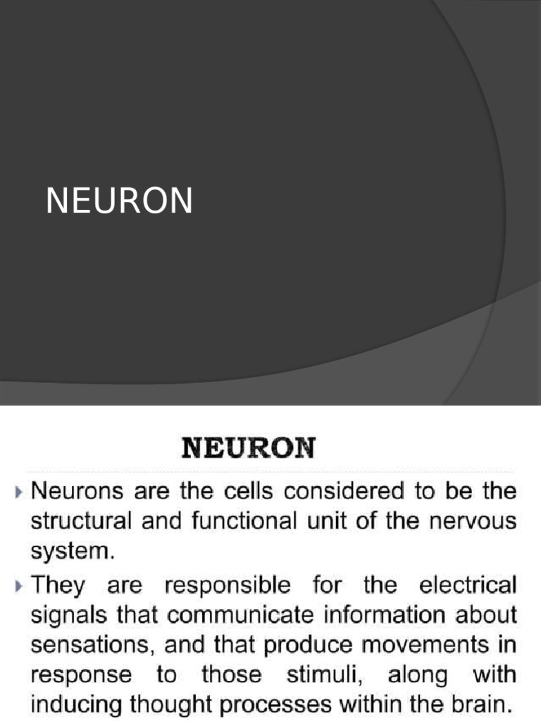 Neuron | PDF