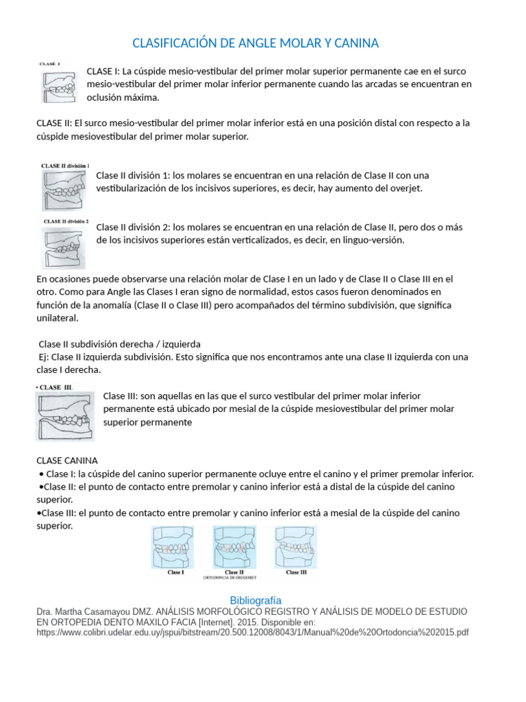 Clasificacion de Angle Molar y Canina | PDF