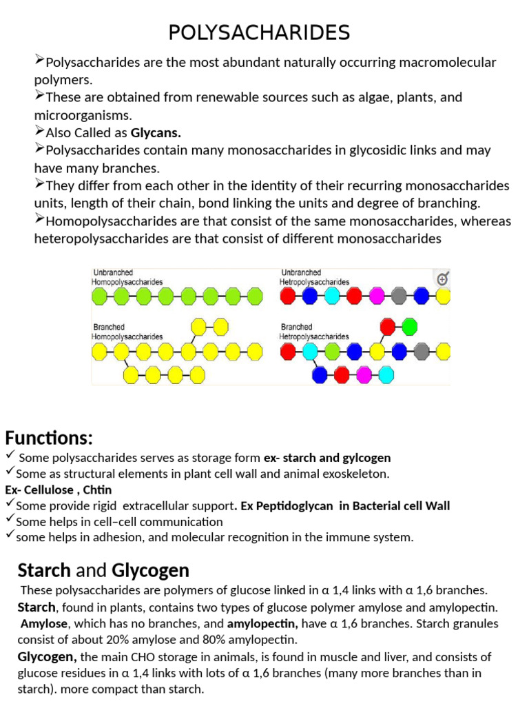 Carbohydrates - Polysaccharides | PDF | Polysaccharide | Cellulose