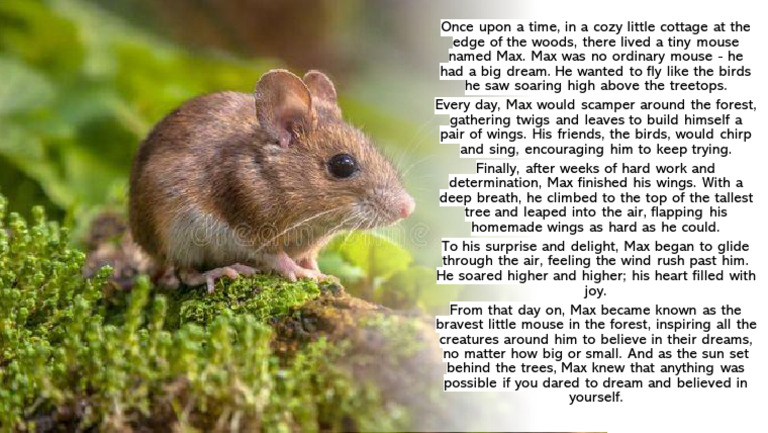 Mouse | PDF