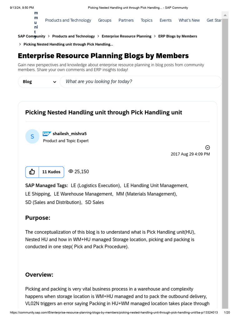 Picking Nested Handling Unit Through Pick Handling... - SAP Community ...