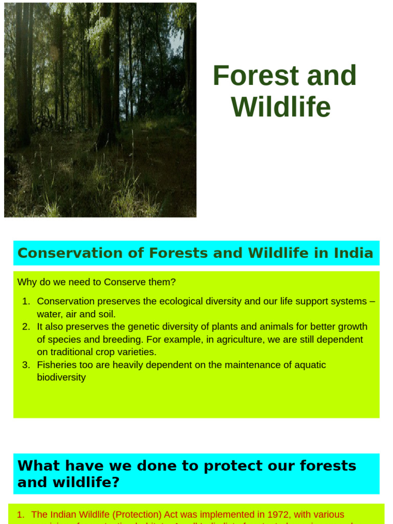 Class 10 - Geography Forest and Wildlife | PDF | Forests | Biodiversity