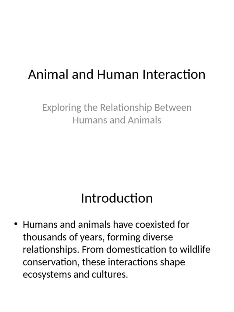 Animal and Human Interaction | PDF