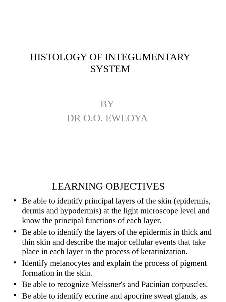Histology of Integumentary System-1 | PDF