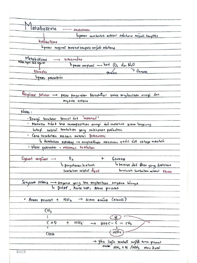 Semua Catatan Fistum Buk Haf | PDF