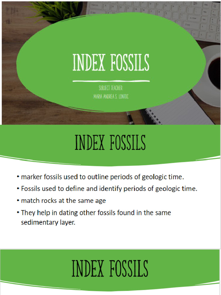 Index Fossils | PDF