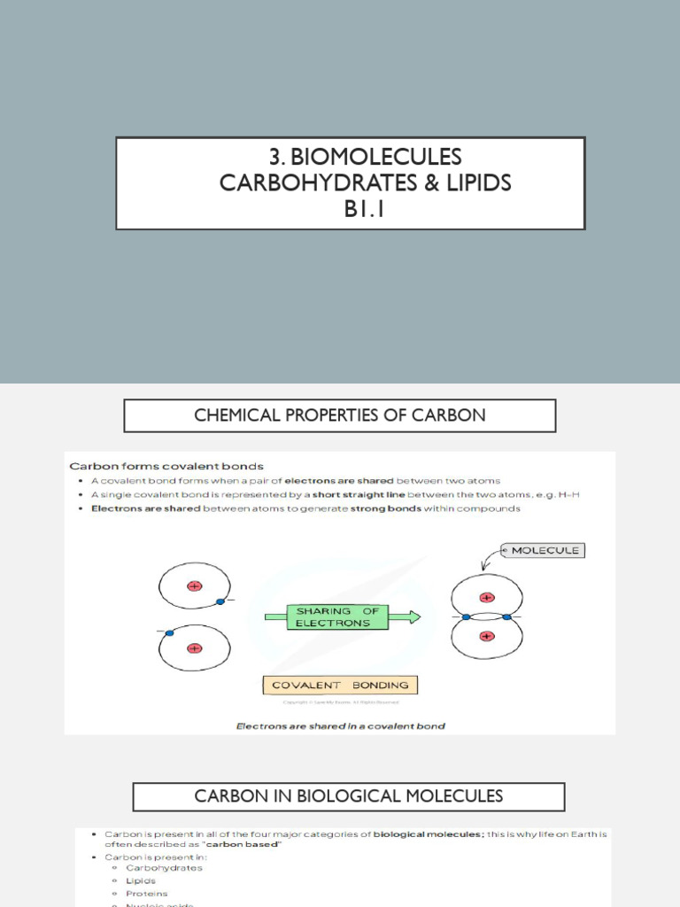 Carbohydrates & Lipids | PDF