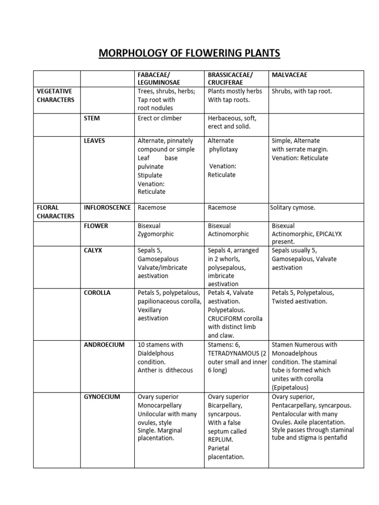 Morphology of Flowering Plants | PDF | Petal | Flowers