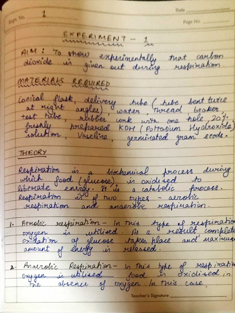 Biology Practical File | PDF