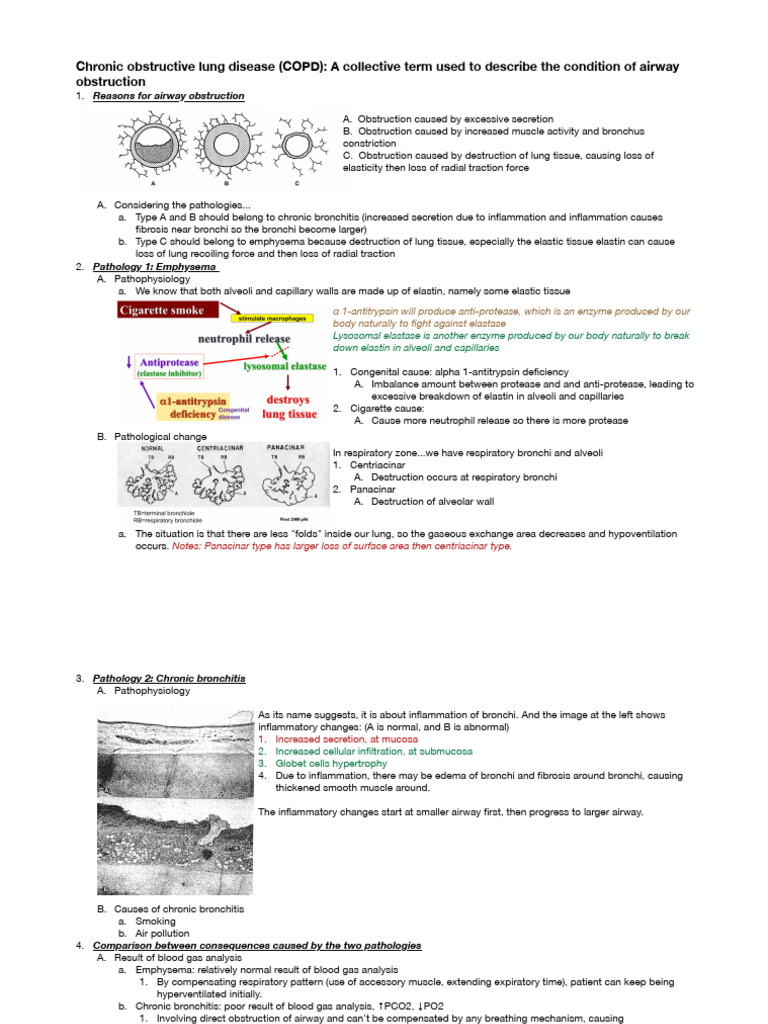 COPD Notes | PDF | Chronic Obstructive Pulmonary Disease | Respiratory ...