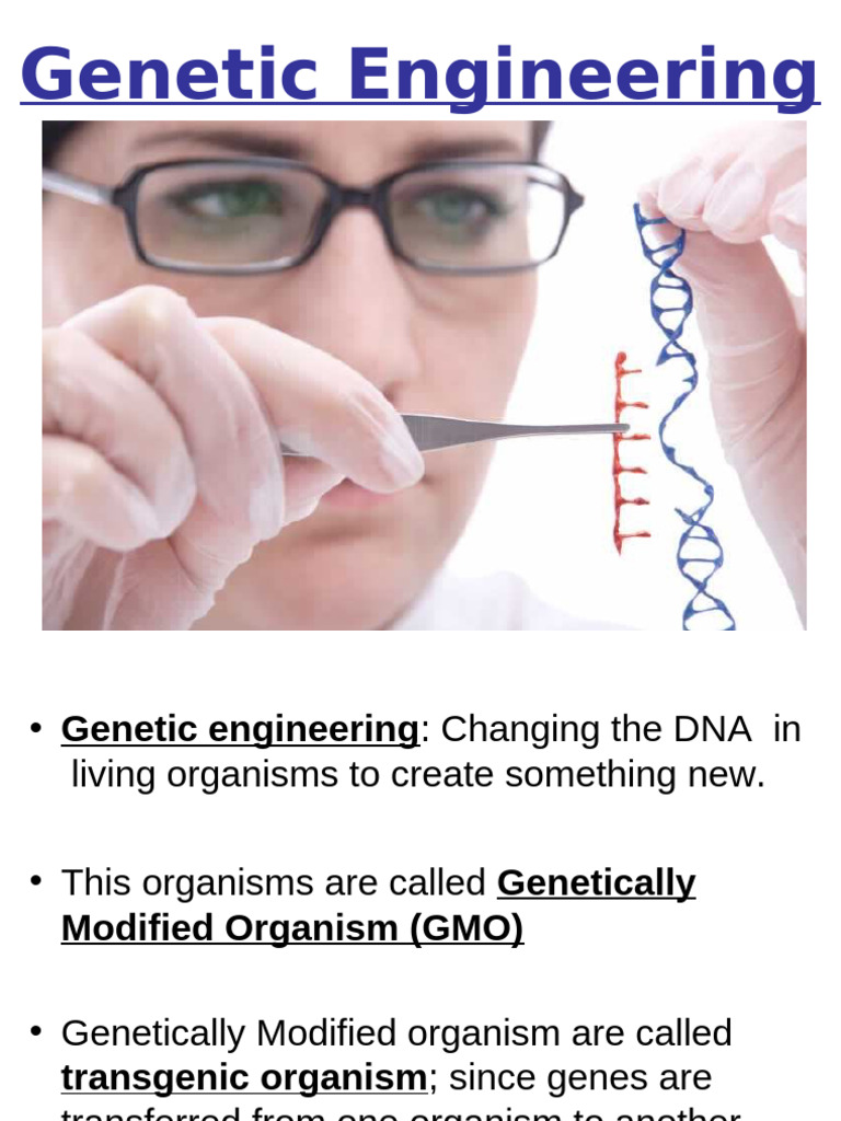 Genetic Engineering | PDF | Genetic Engineering | Ploidy