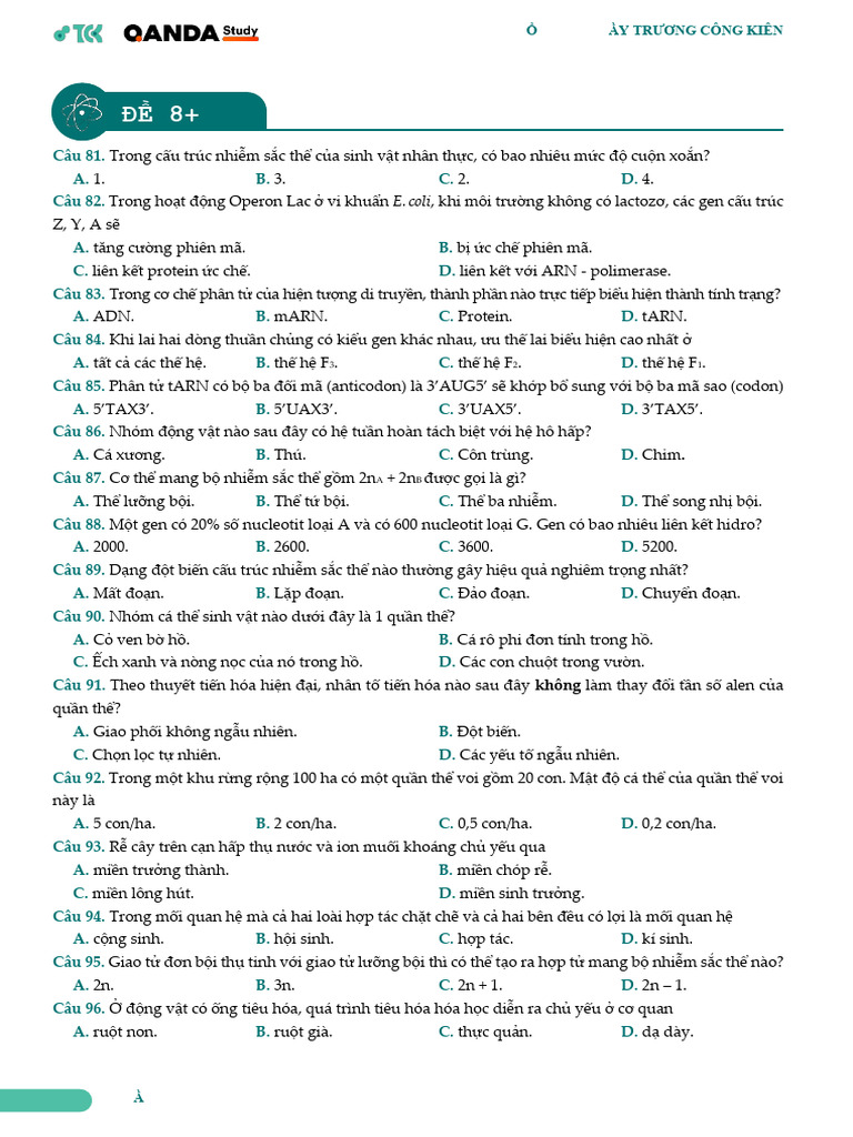 Ä Eì Ì 8+ Seri 10 Buoì Ì I Livestream | PDF