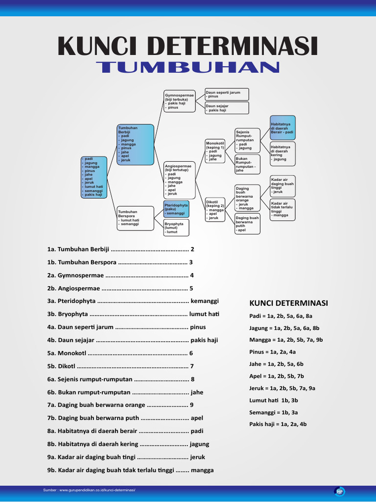 Kunci Determinasi Tumbuhan Berbiji dan Berspora | PDF