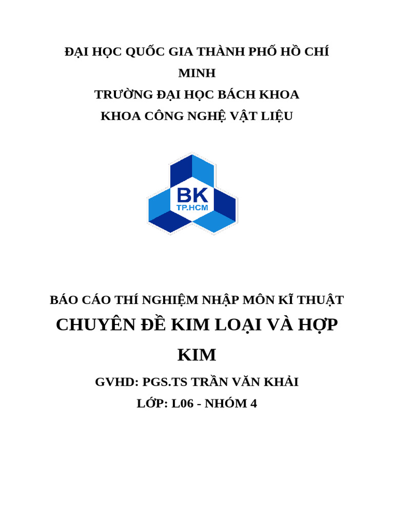 Báo Cáo TN NMKT | PDF