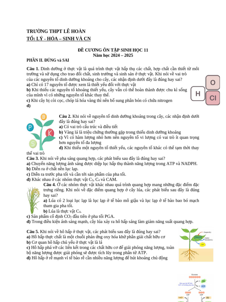 Đề Cương GHK 1 - Sinh 11. Phần Đúng Sai Và Tự Luận | PDF