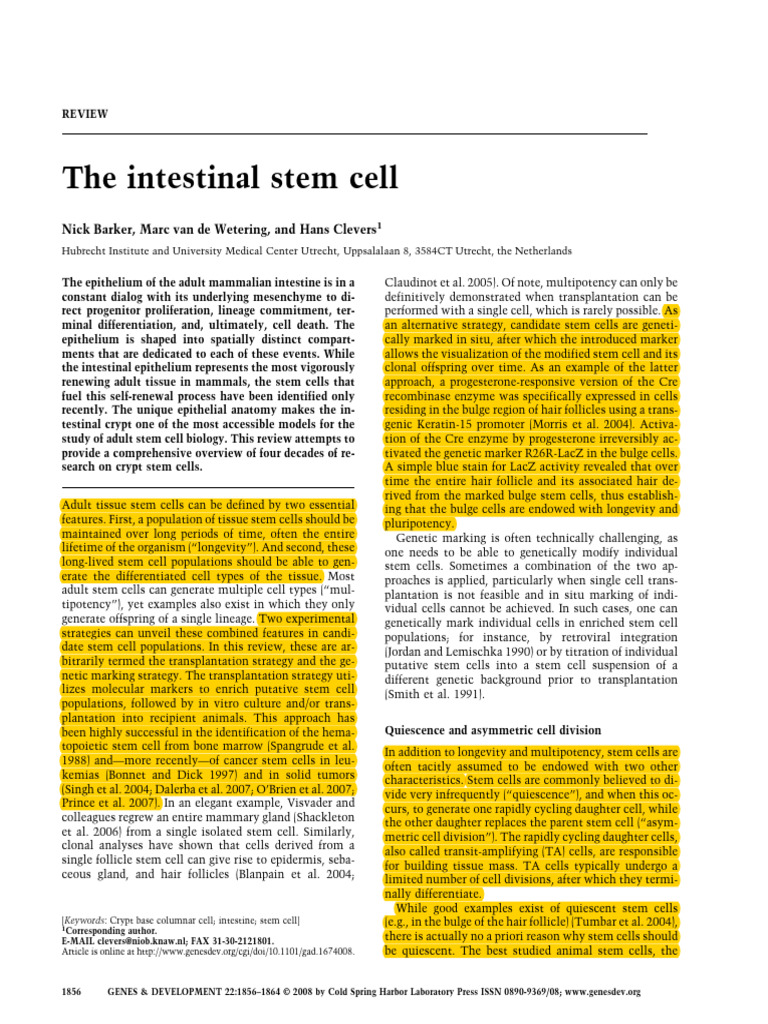 Intestinal Stem Cells | PDF | Small Intestine | Stem Cell