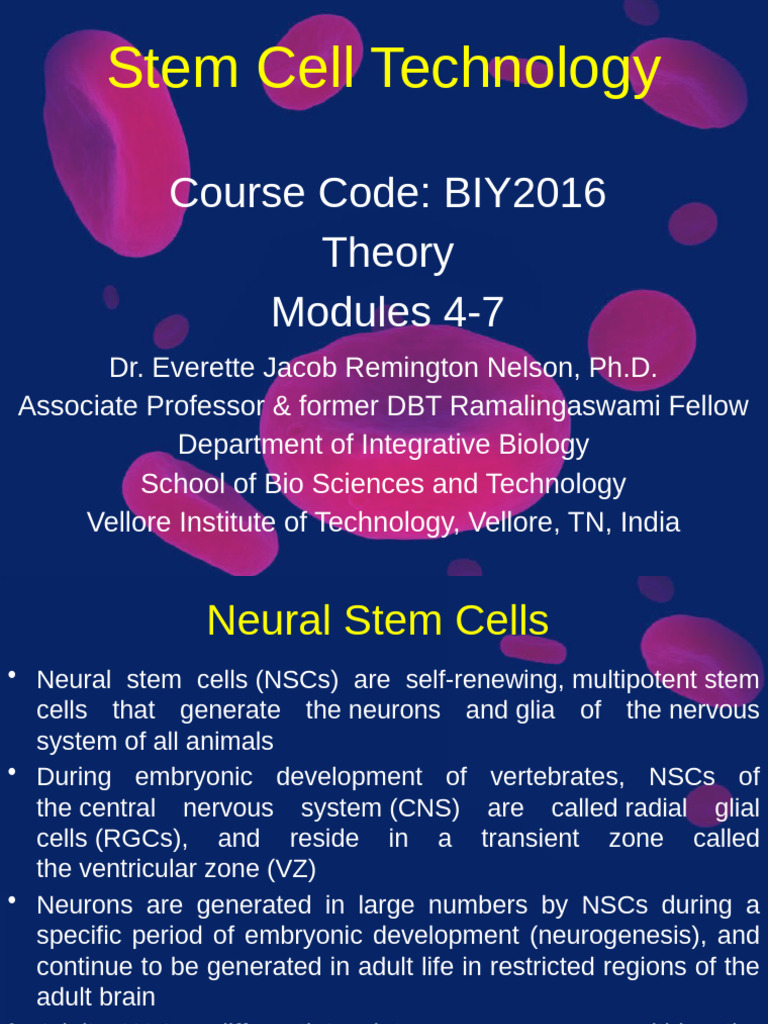Neural Stem Cell | PDF | Mesenchymal Stem Cell | Stem Cell
