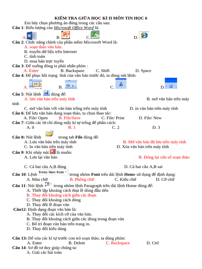 De Cuong On Tap Giua Ky Ii | PDF