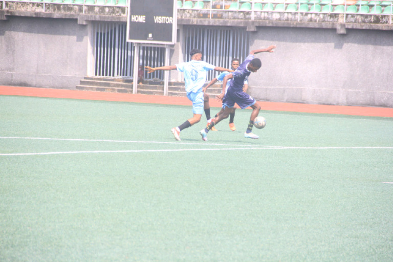 PDF Phoenix 20241201 094644 | PDF