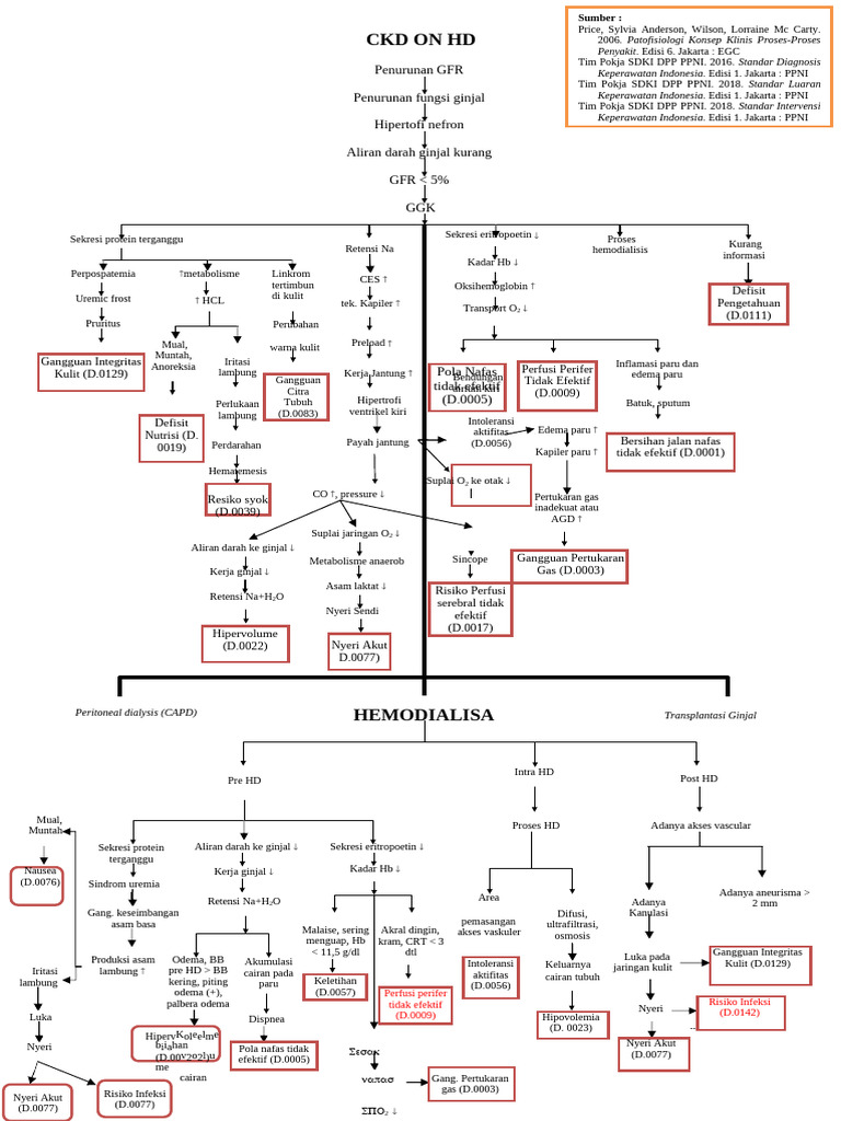 Pathway CKD + Hipertensi Ika | PDF