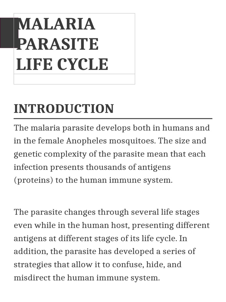 Malaria Parasite Life Cycle Explained | PDF