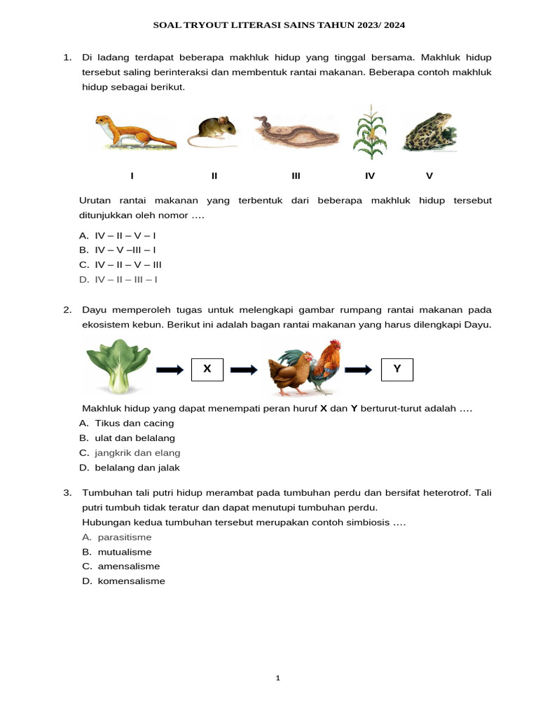Paket 2 Soal Tryout Kelas 6 Tahun 2023 | PDF