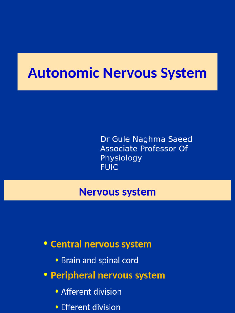 2021-12 Autonomic Nervous System | PDF | Acetylcholine | Autonomic ...