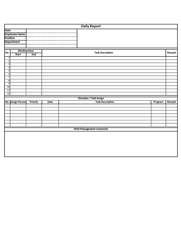 Daily Report Format | PDF
