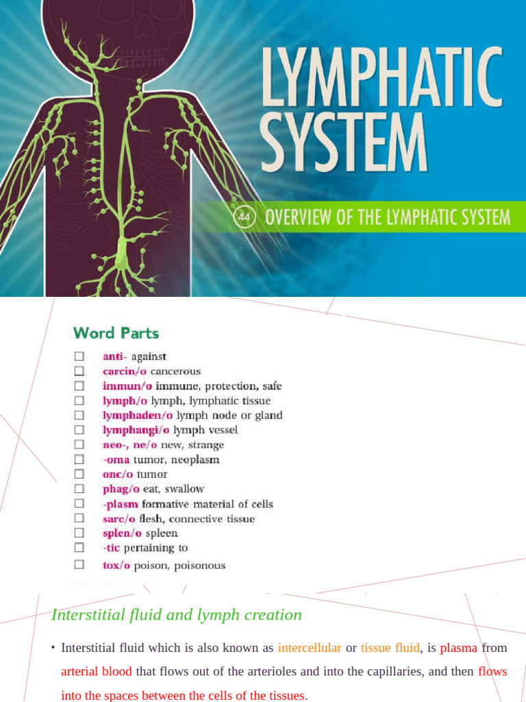 Lymphatic and Immune System Overview | PDF | Lymph | Lymphatic System