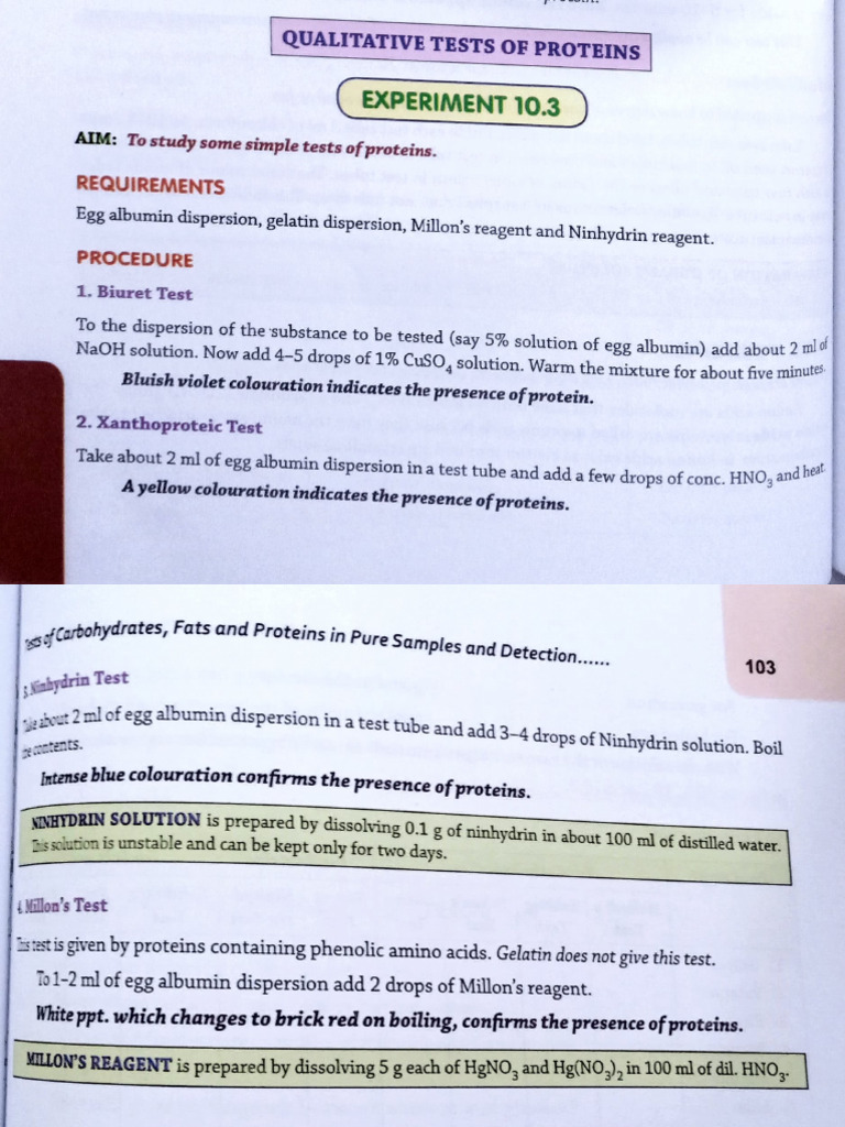 Qualitative Protein Tests Overview | PDF | Proteins | Nitric Acid