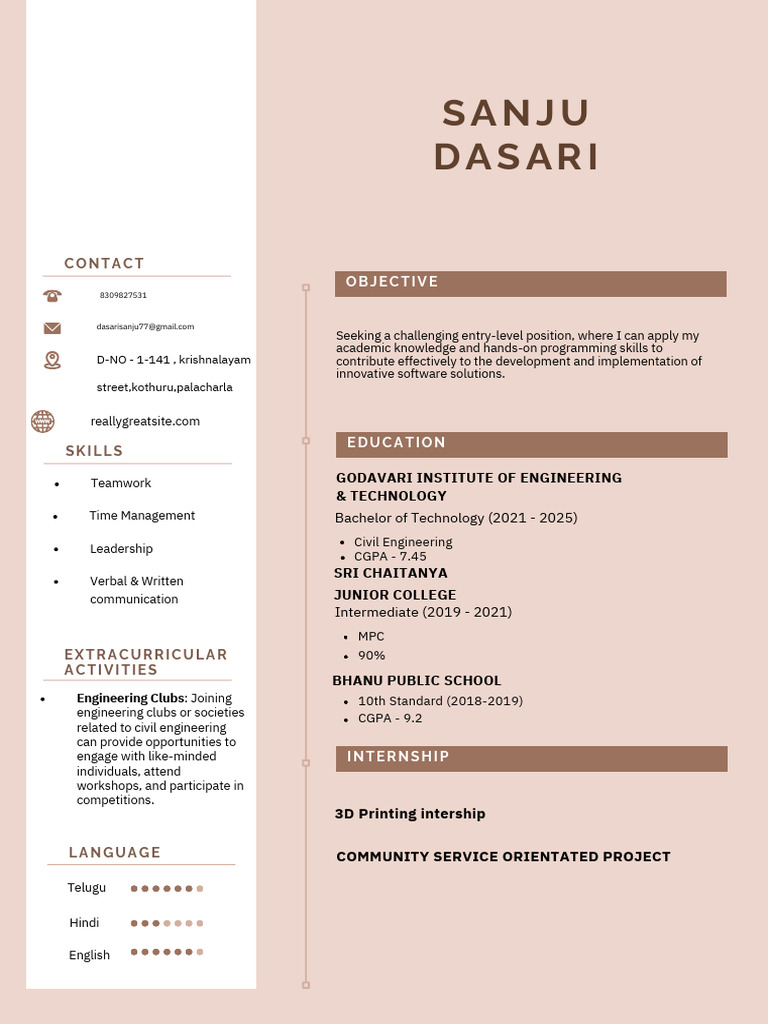 Sanju Resume | PDF