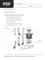 Science Stage 4 Workbook Answers | PDF