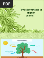 Photosynthesis Class 11 Biology NCERT | PDF | Photosynthesis | Chloroplast