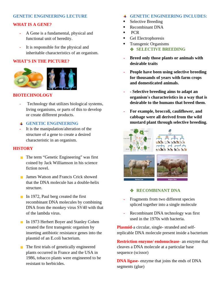 Genetic Engineering | PDF | Genetic Engineering | Dna