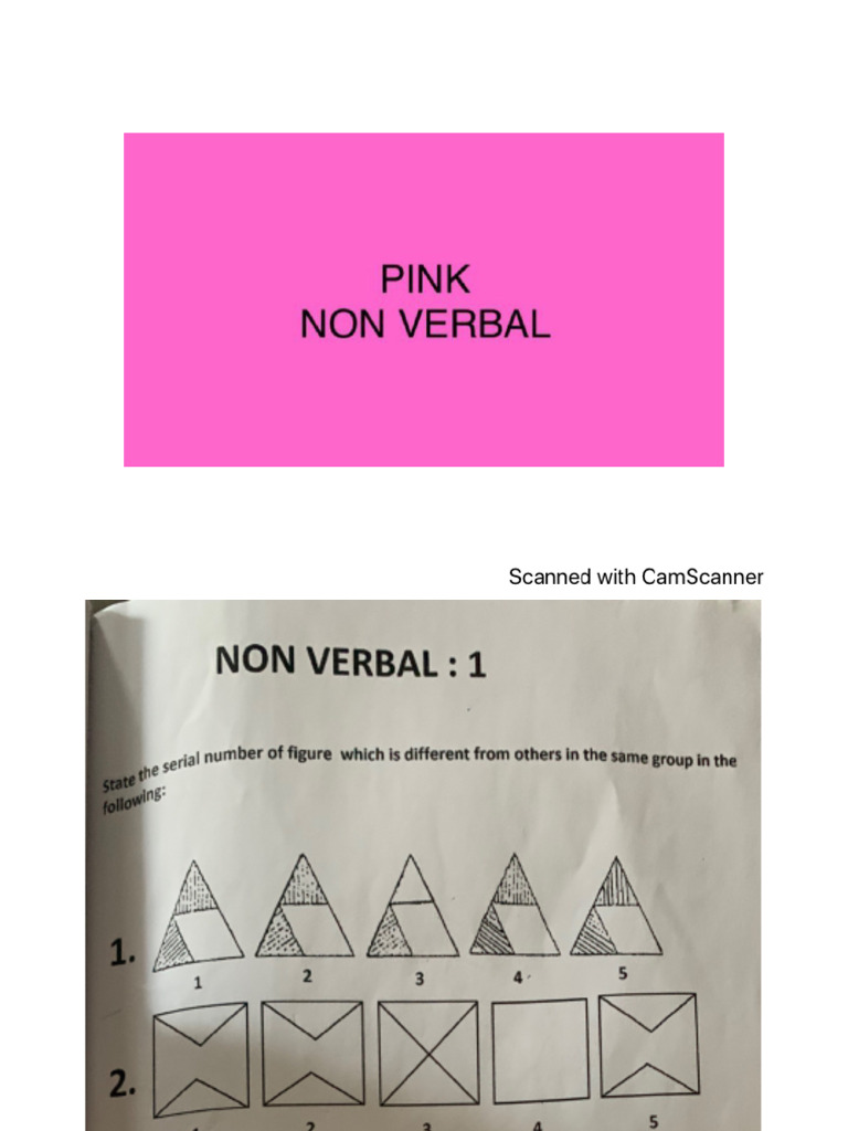 Pink Non Verbal | PDF