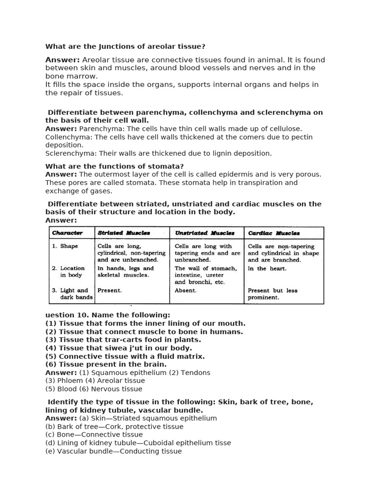 Answer Key Tissue - Grade - 9 | PDF | Tissue (Biology) | Epithelium