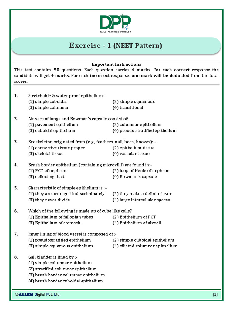 Exercise 1 + 2 | PDF | Epithelium | Connective Tissue